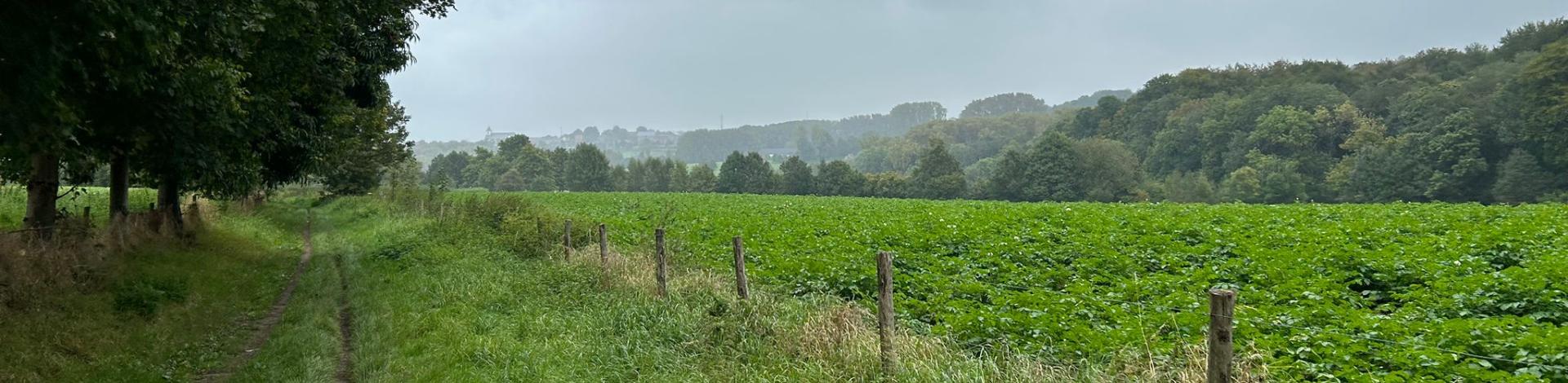 Home | Gemeente Kluisbergen